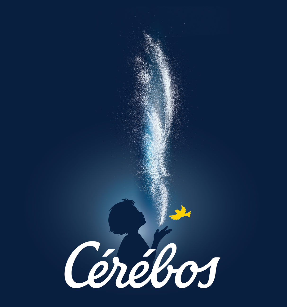 Cérébos : des Sels et Bicarbonate Pour une Cuisine Savoureuse